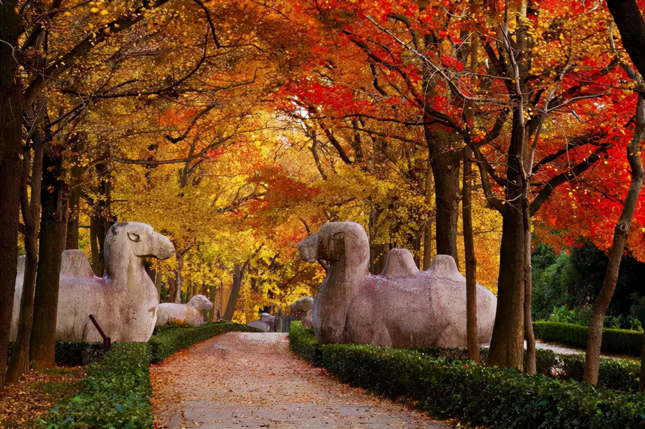 In autumn, Nanjing is beautiful and legendary - iNEWS