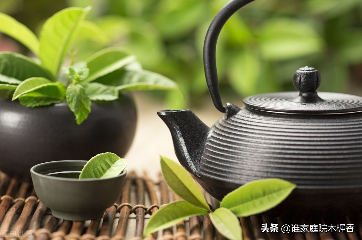 In the Tang Dynasty, Jiaoran wrote tea songs and created the tea ...