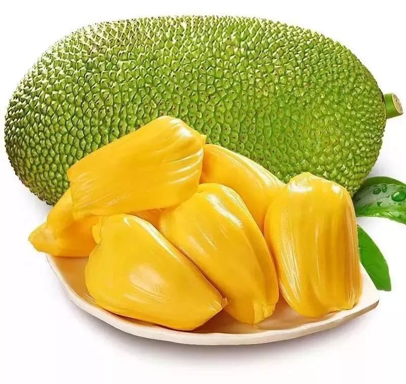 South Asian fruits mentioned in Buddhist scriptures - iNEWS