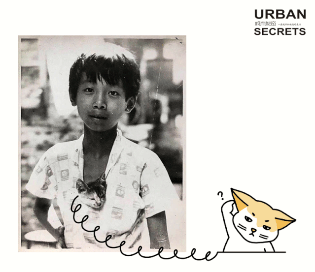 The big lady behind Jiangnan Commoner: Li Lin and her business empire ...