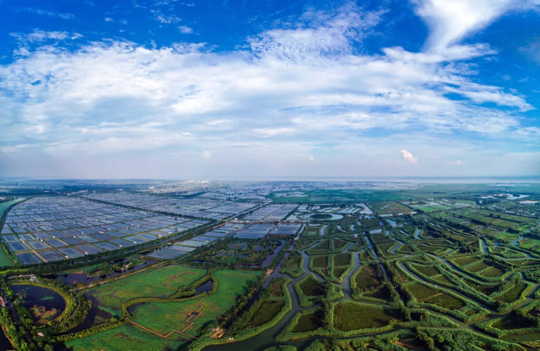 China's famous 30°N latitude wine belt started in the Qinghai-Tibet ...