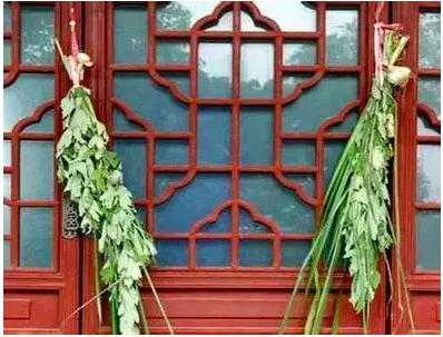 Hanging wormwood during the Dragon Boat Festival is more important ...