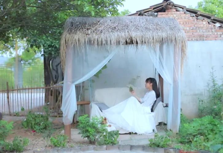 Li Ziqi set the world record for the most subscribers to the YouTube ...