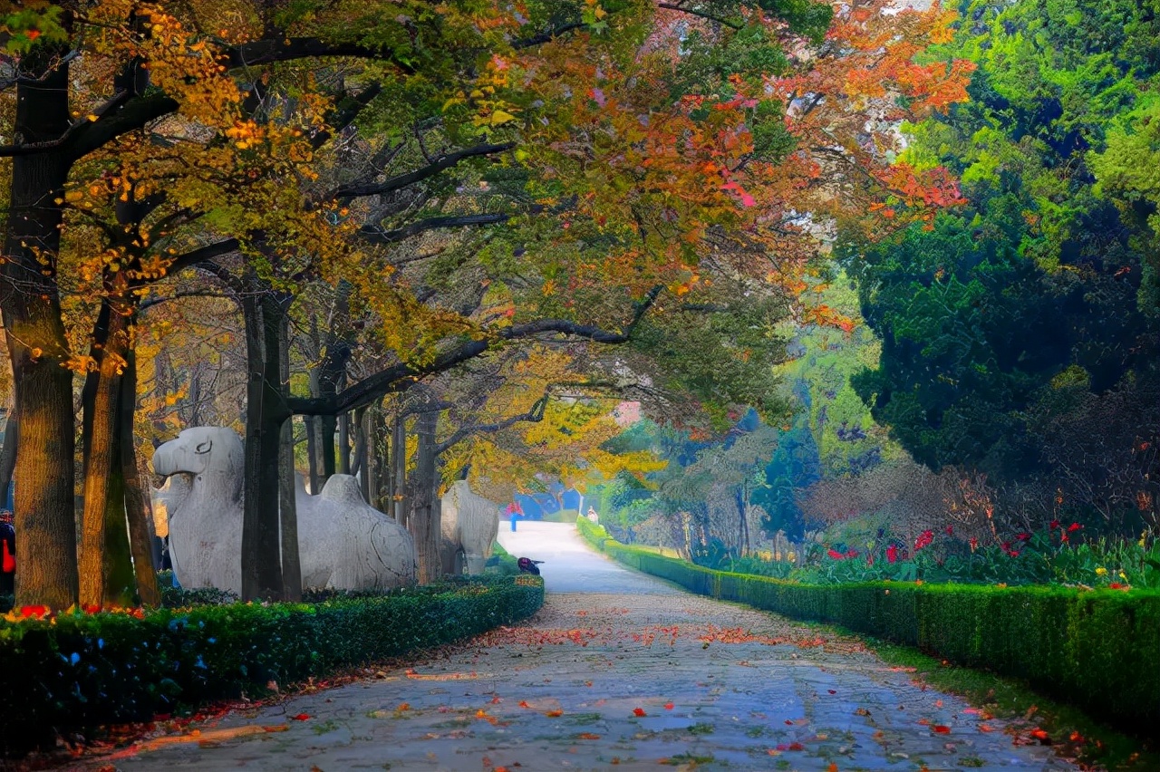 In autumn, Nanjing is beautiful and legendary - iNEWS