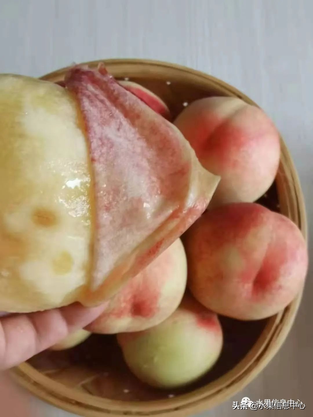 China's common peach origin varieties and time to market - iNEWS