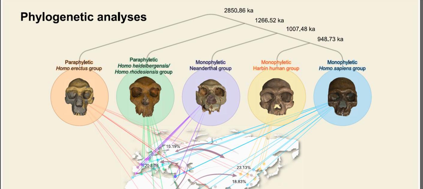 China discovers a new species of "Dragon Man", will the history of ...
