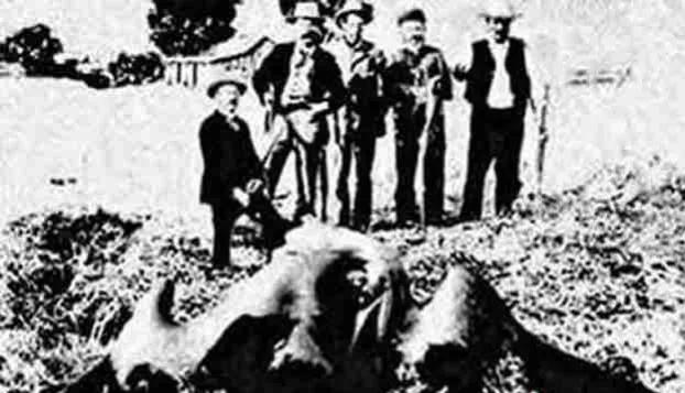 Does Thunderbird really exist? - iNEWS