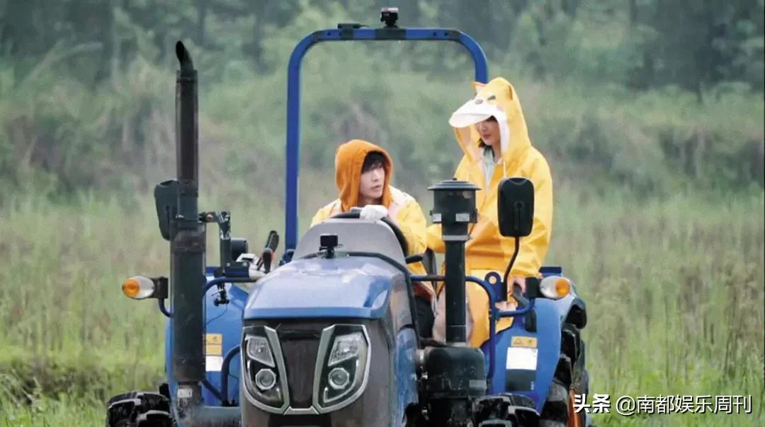 "Artist Purple", "Jin Qi's hands against each other"... This young man ...