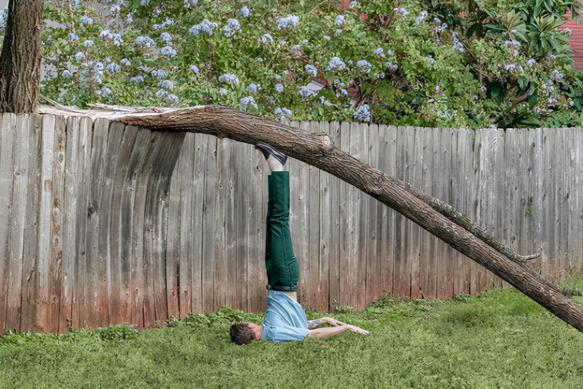 Absurd Art (Part 2) - iNEWS