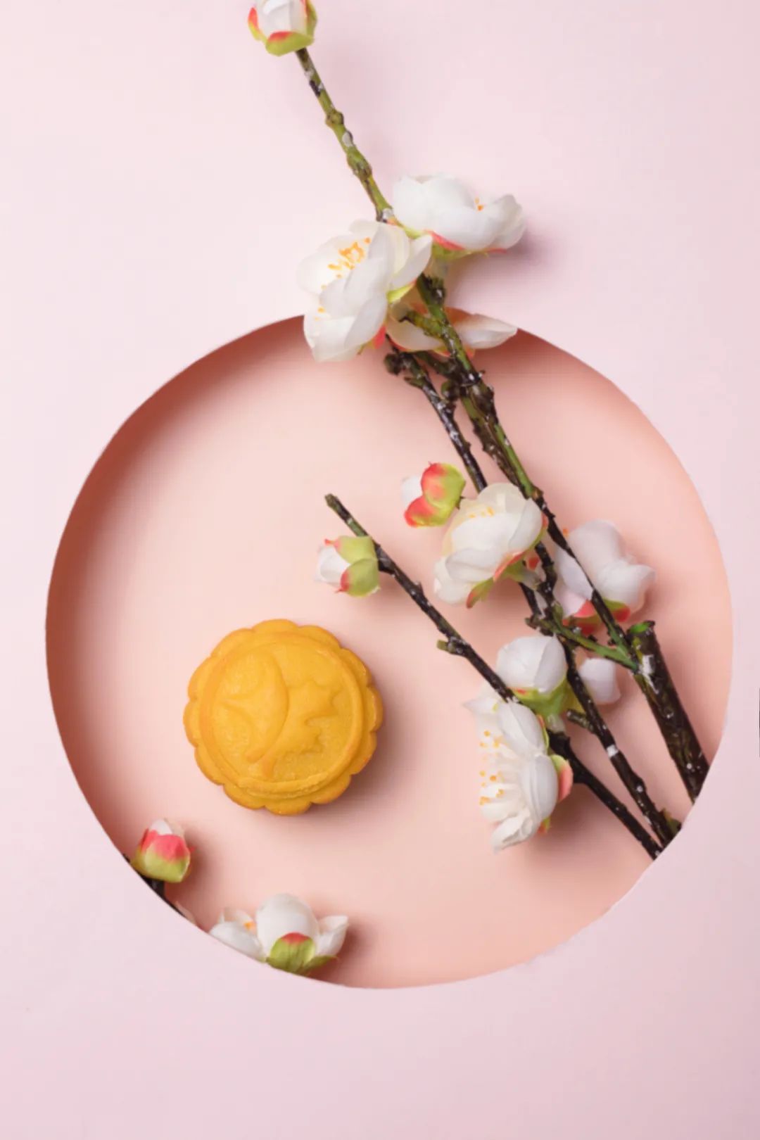 Photo Tips: How to take pictures of mooncakes on Mid-Autumn Festival ...