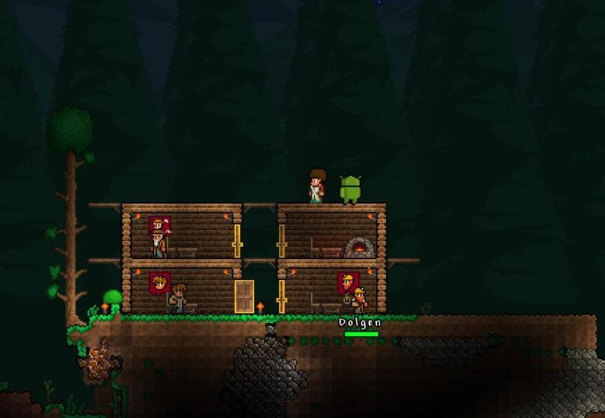 "Terraria Mobile Games" dungeon can't go through because there are ...