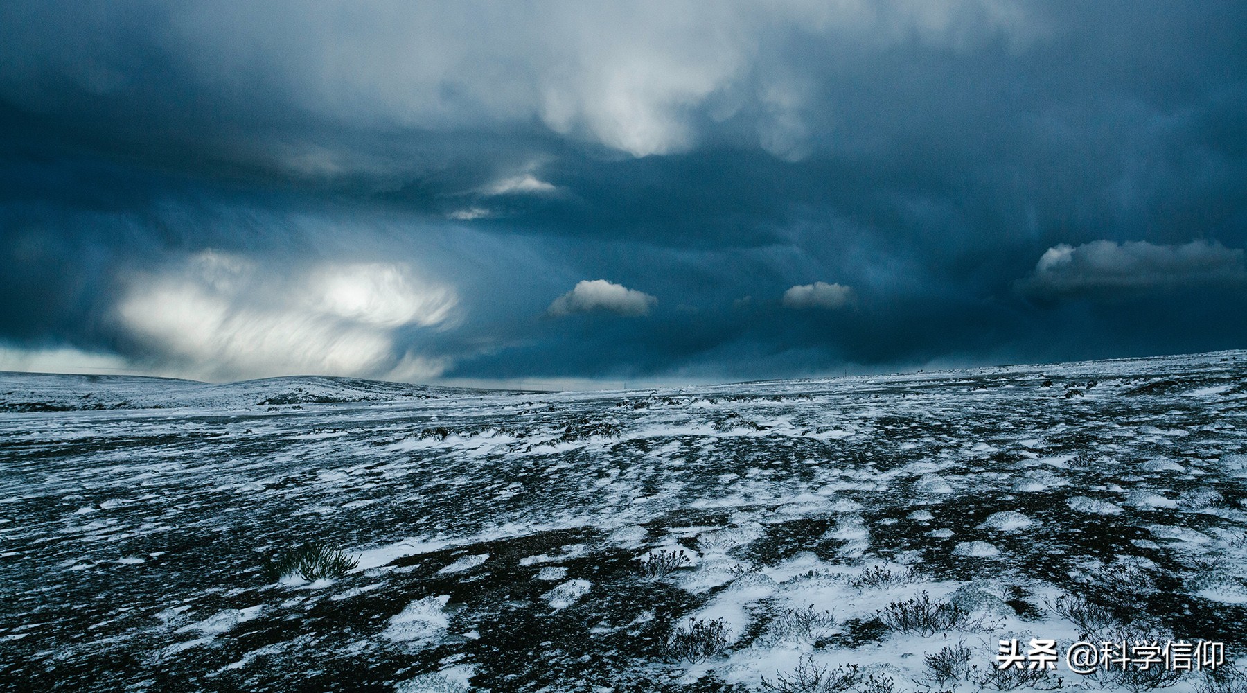 Ancient creatures that have been frozen for tens of thousands of years ...