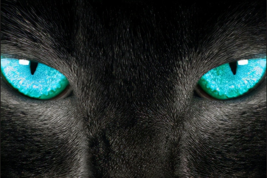 Are humans really weak compared to large wild animals?Humans have also ...