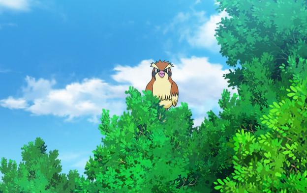 The origin and ecology of "Pokémon": Bobo, the messenger of the elven ...