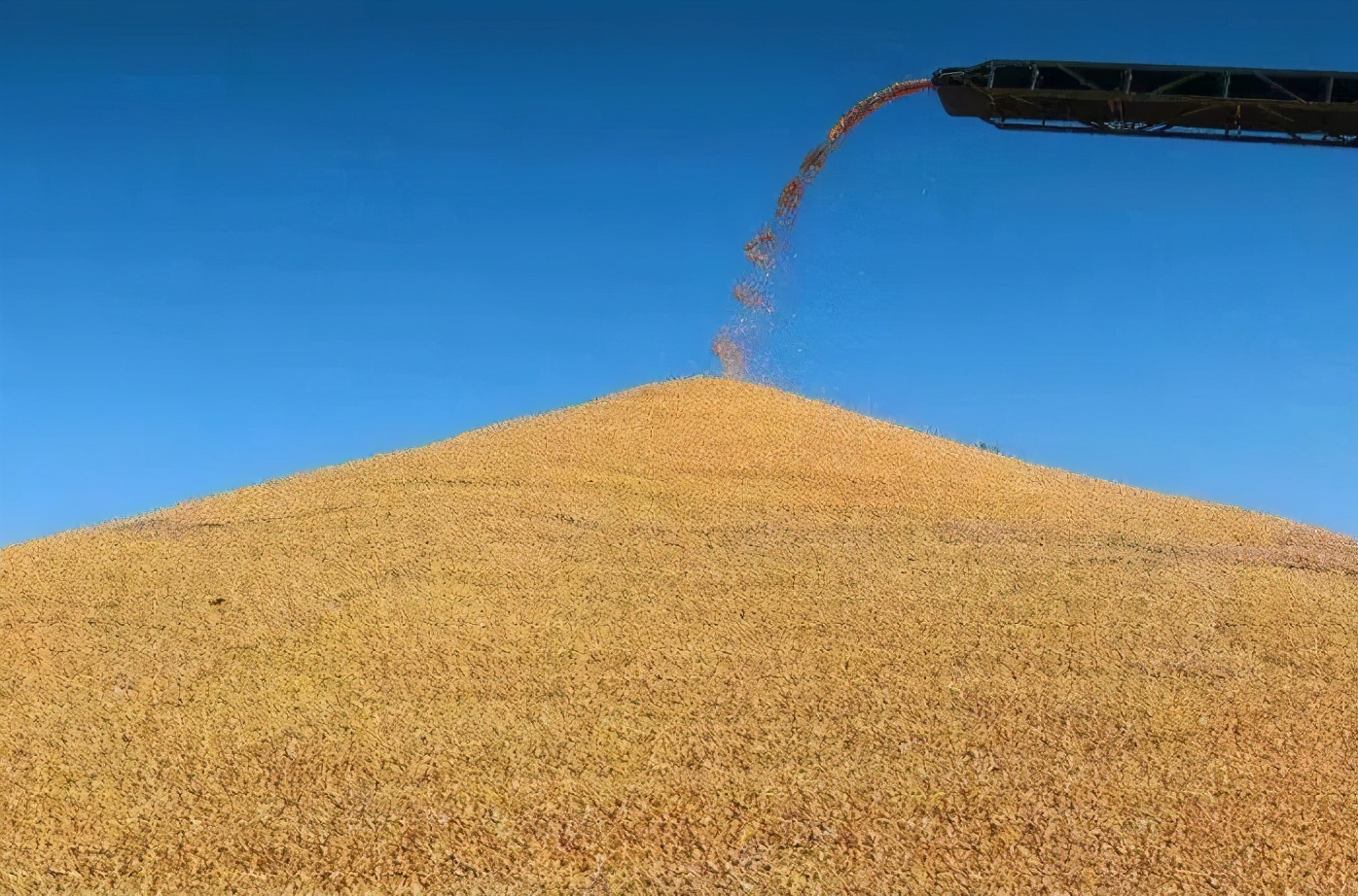 How powerful is the US "food weapon"?Use grain to disintegrate the ...