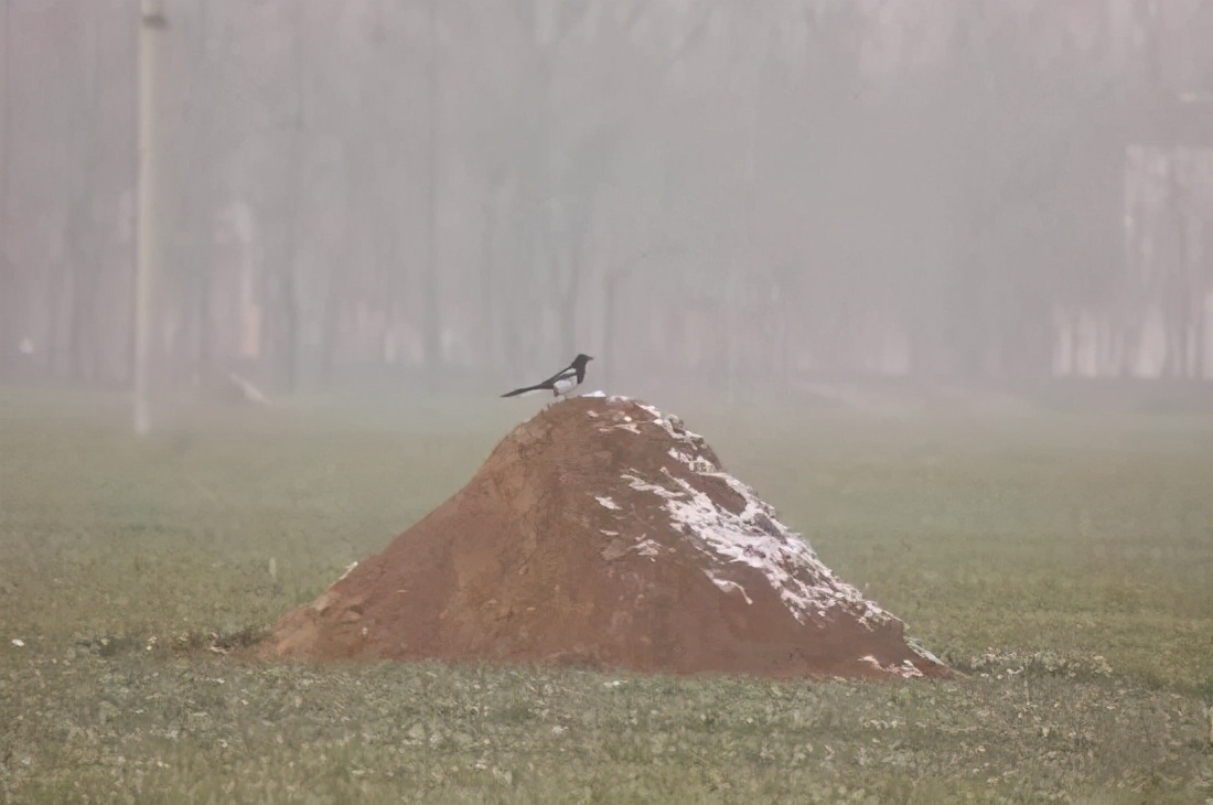 The coffin is underground, why is there a "small mound" on the ground ...