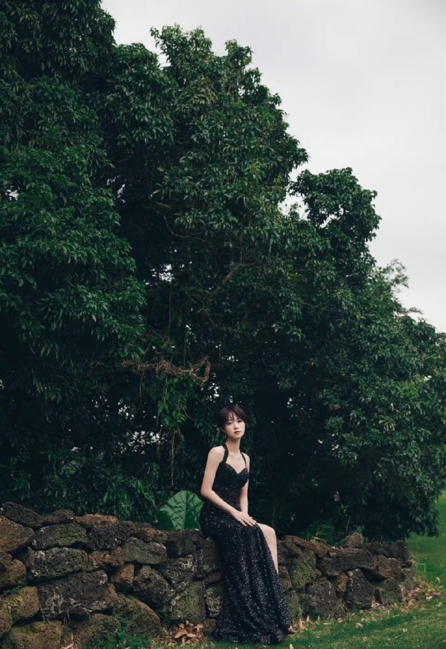 Fan Chengcheng, Lan Yingying's new drama is launched, the two are 10 ...