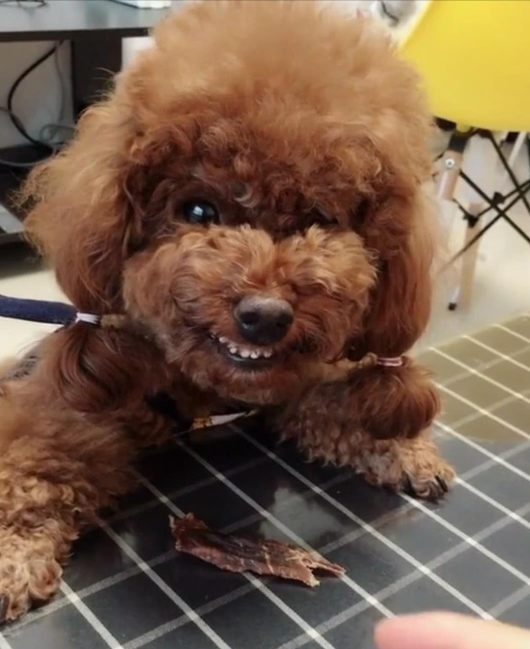 You need to be clear about the reasons why "Teddy" bites - iNEWS