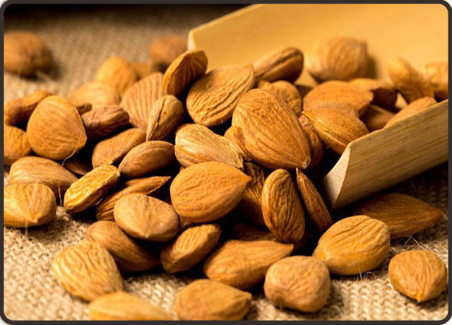 The efficacy and precautions of bitter almonds - iNEWS
