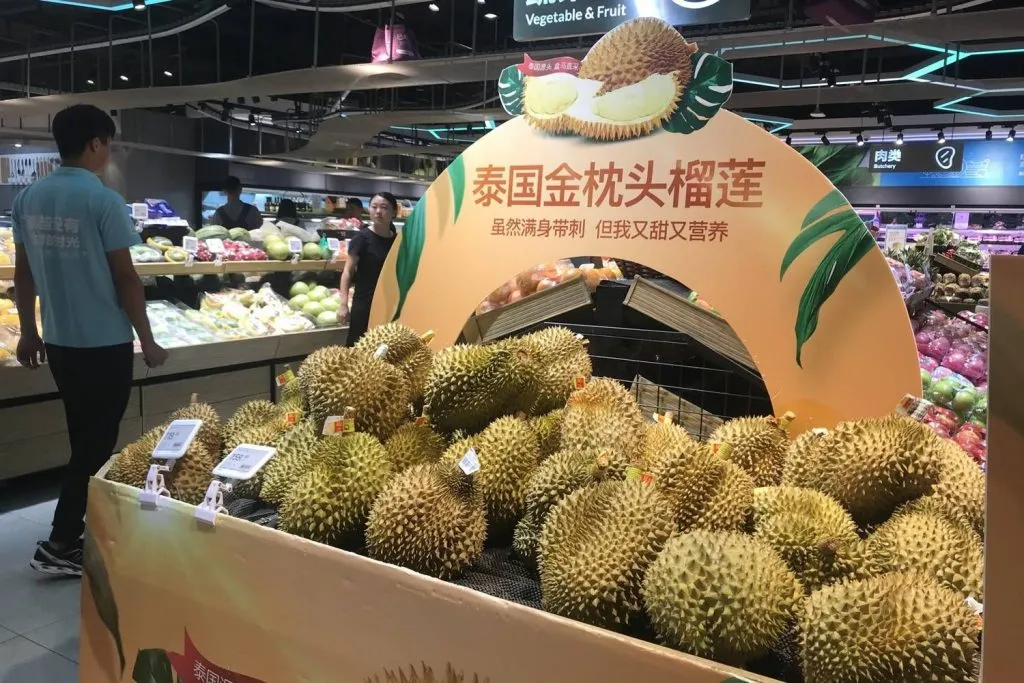 Thailand intends to use the "China-Laos Railway" to export durians to ...
