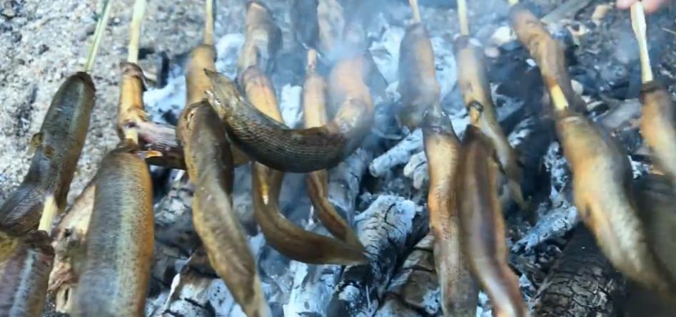 Is fried loach delicious or grilled? - iNEWS