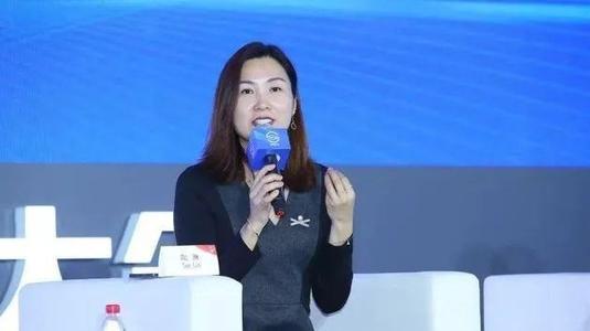 Who is behind the female car owner who climbed the roof of Tesla and ...