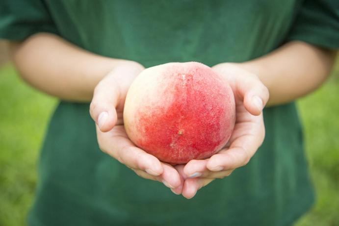 Ding!Do you have a guide to eating peaches in summer, please check it ...