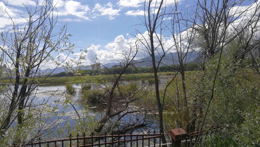 One Seven Three - iNEWS