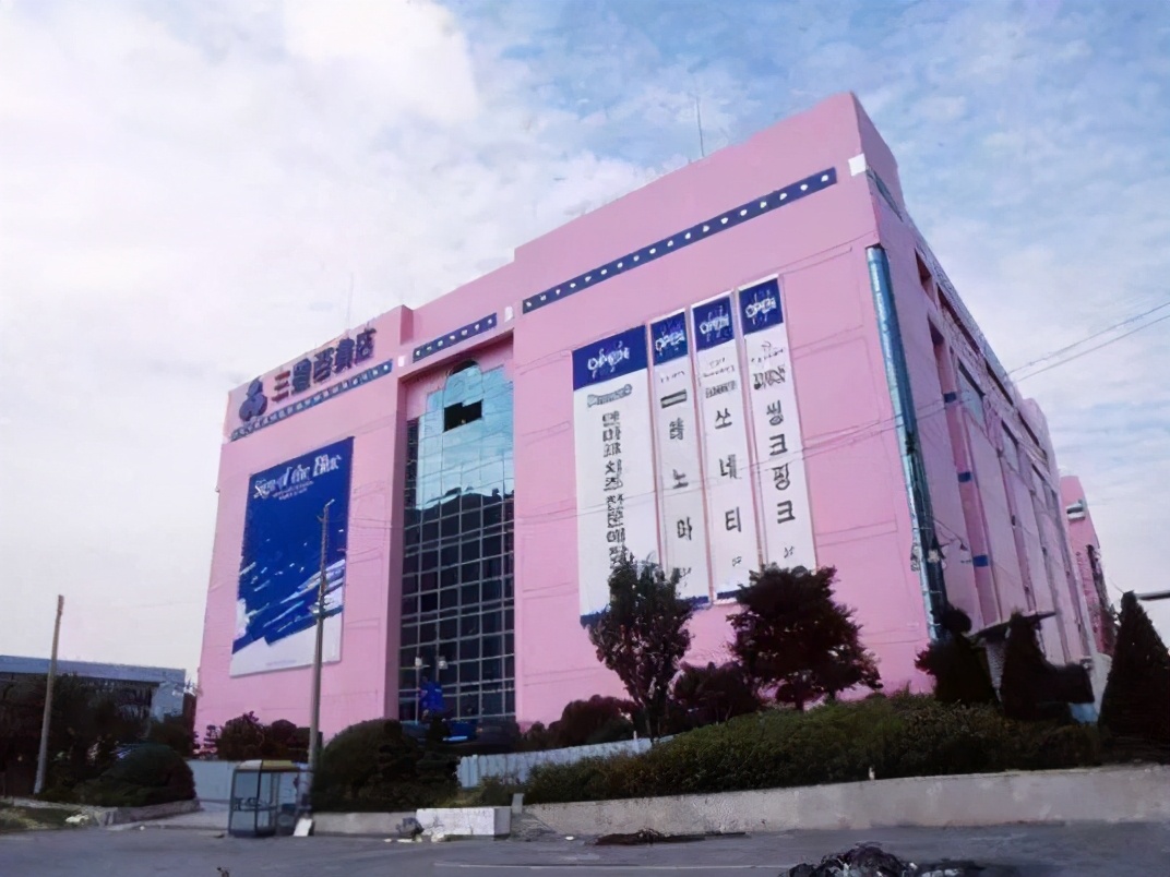 In 1995, when the Sampoong Department Store collapsed in South Korea ...
