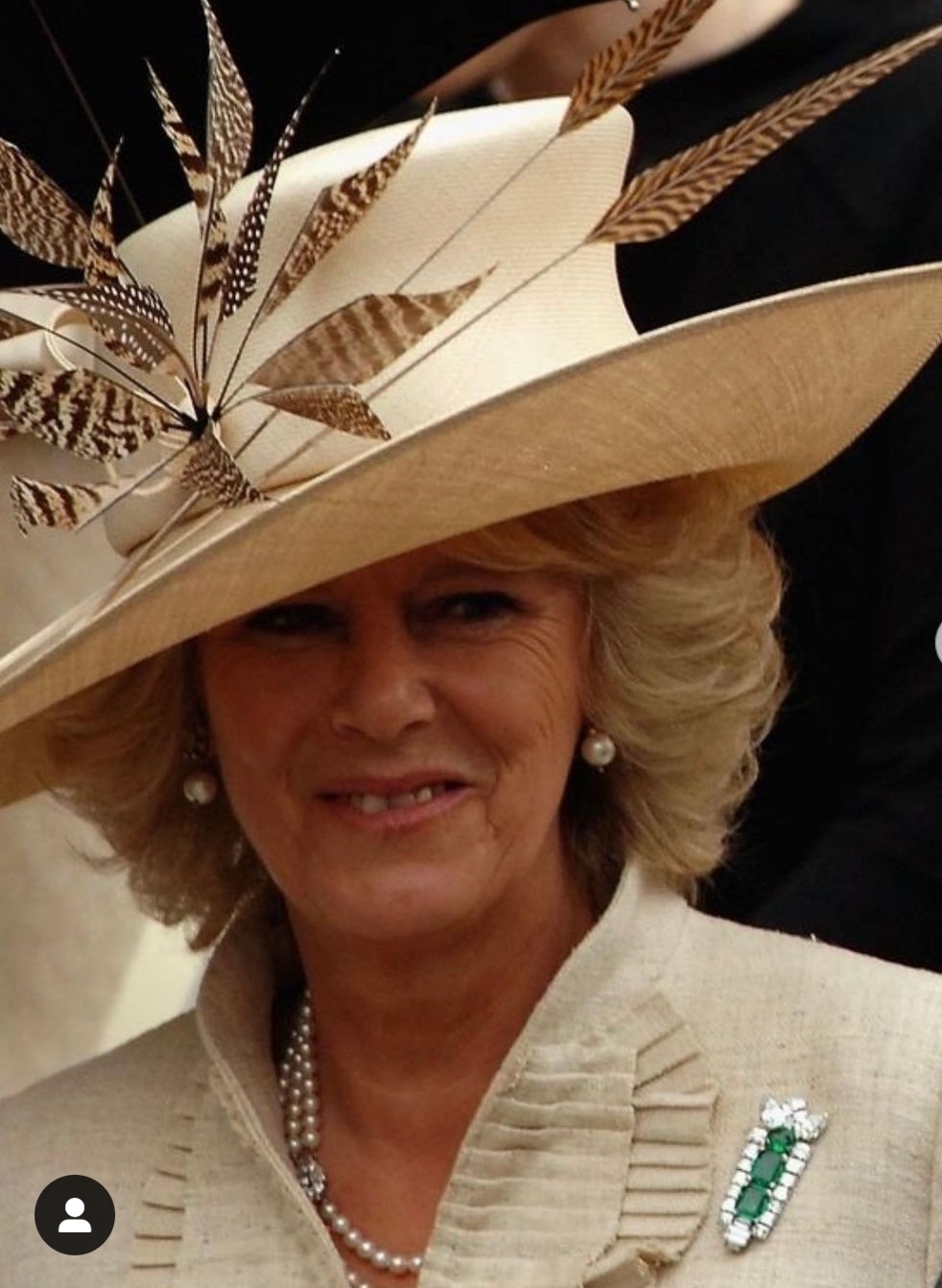 Camilla wearing a pair of brooches is so beautiful, a simple emerald ...