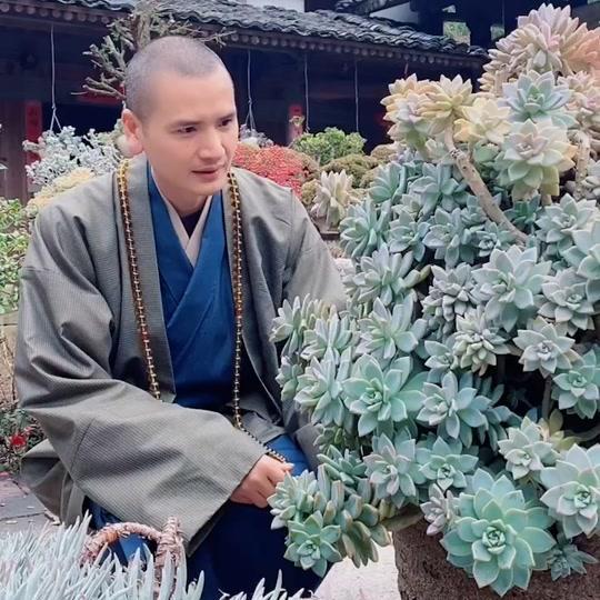 The most handsome monk in China: Throwing away the iron rice bowl ...