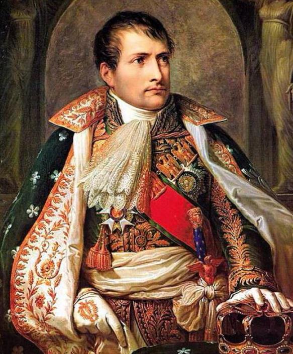 A Brief History of Napoleon: One article to understand Napoleon, the ...