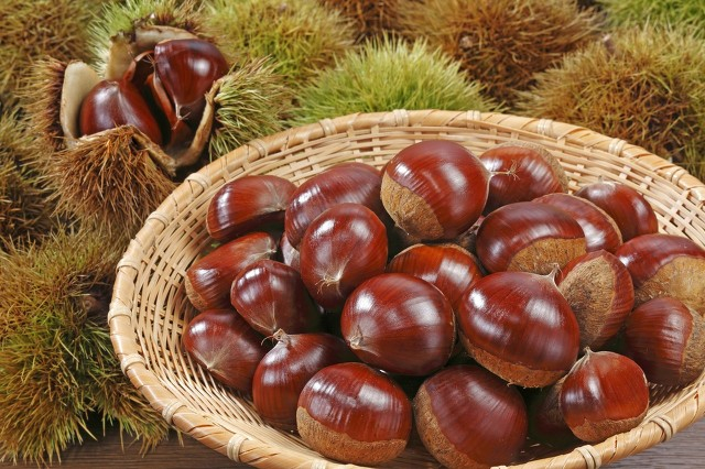 Eat chestnut in autumn, can you still eat chestnut sprouts?Do you know ...