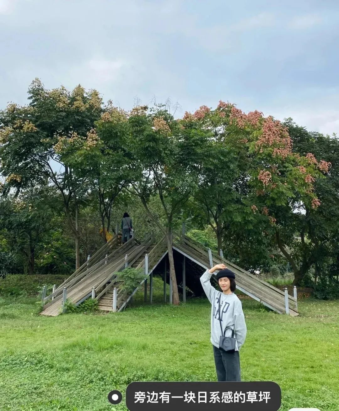 Hibiscus blooms all over the city!These 5 places in Chengdu are so ...