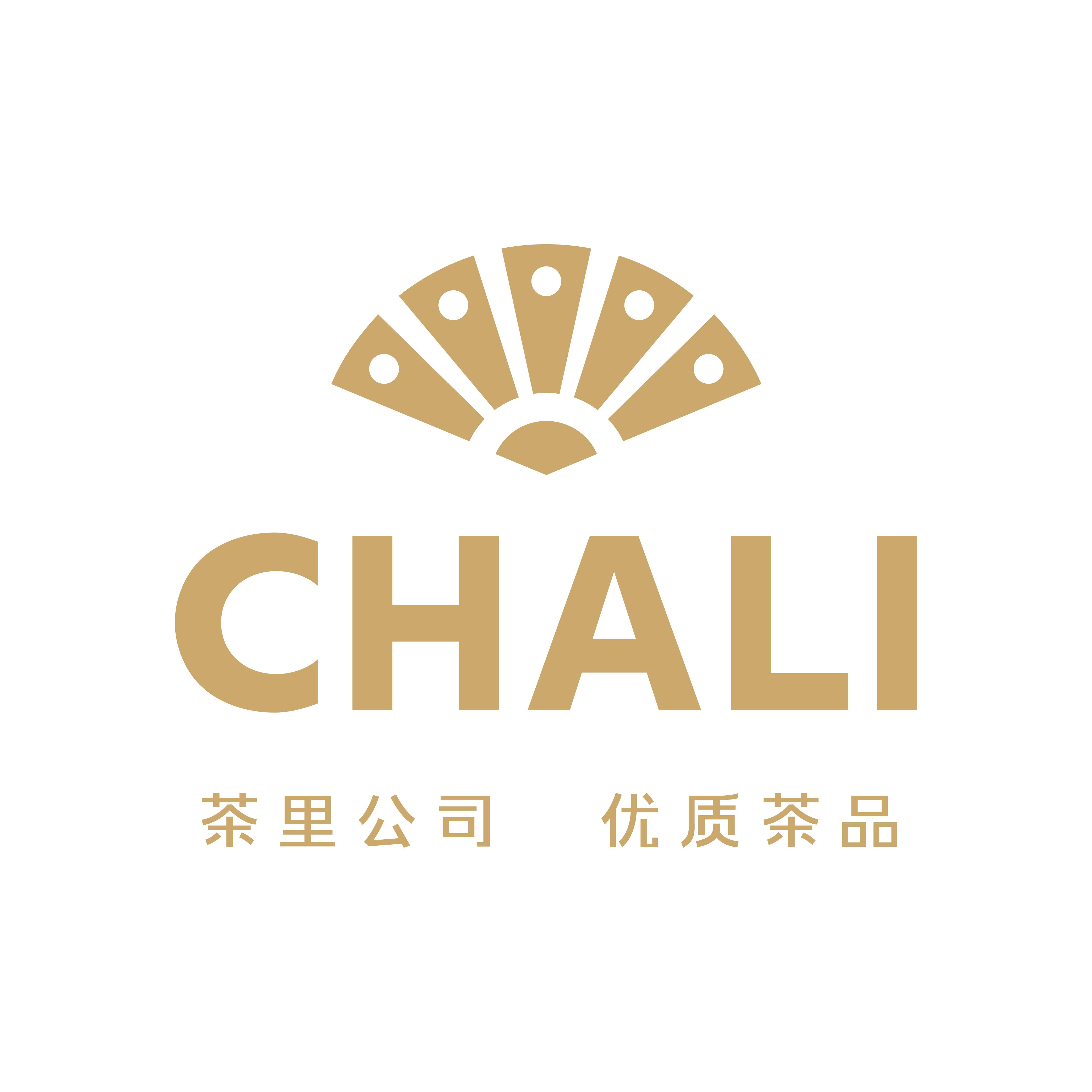Chali Group: product coverage reaches 7000+ hotels, creating the first ...