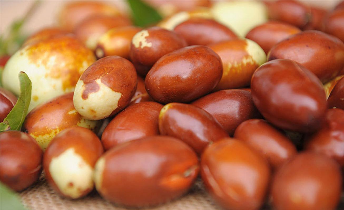 What did ancient Indians eat?Unlock the food codes of ancient ...