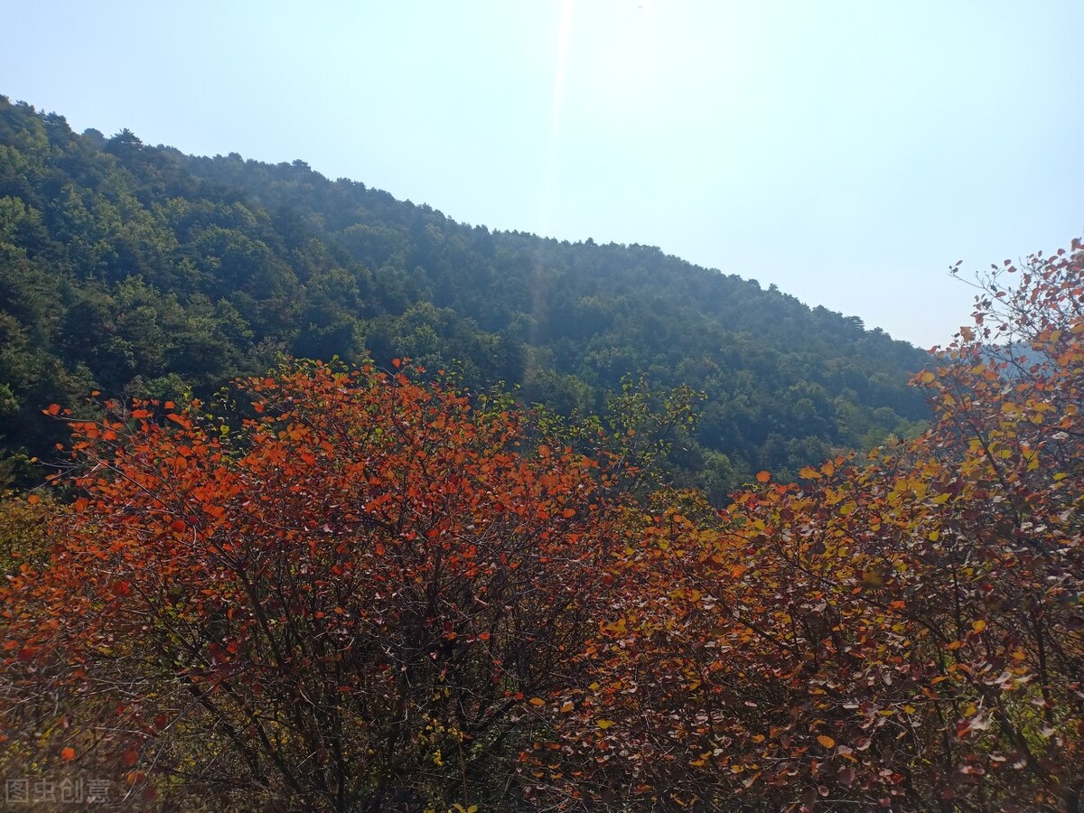 Is Xunzi Confucian? - iNEWS