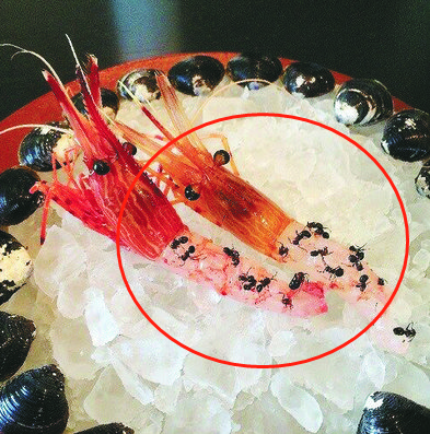 Japan's five super disgusting foods, no appetite after seeing them ...