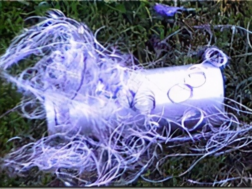 It doesn't hurt people but can paralyze the city. How to prevent the ...