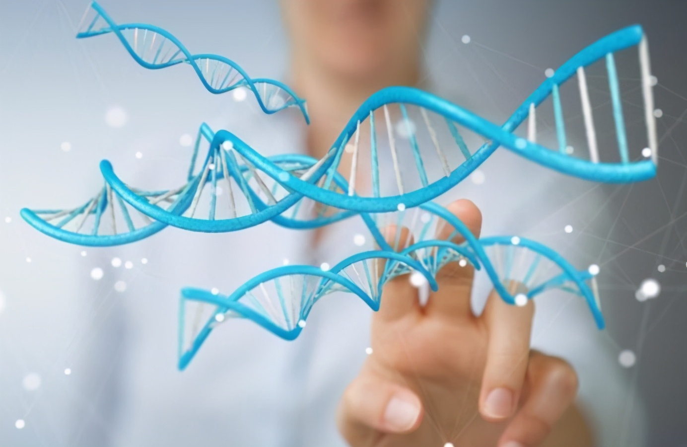 Can humans and animals really cross?Japan's breakthrough in human-beast ...