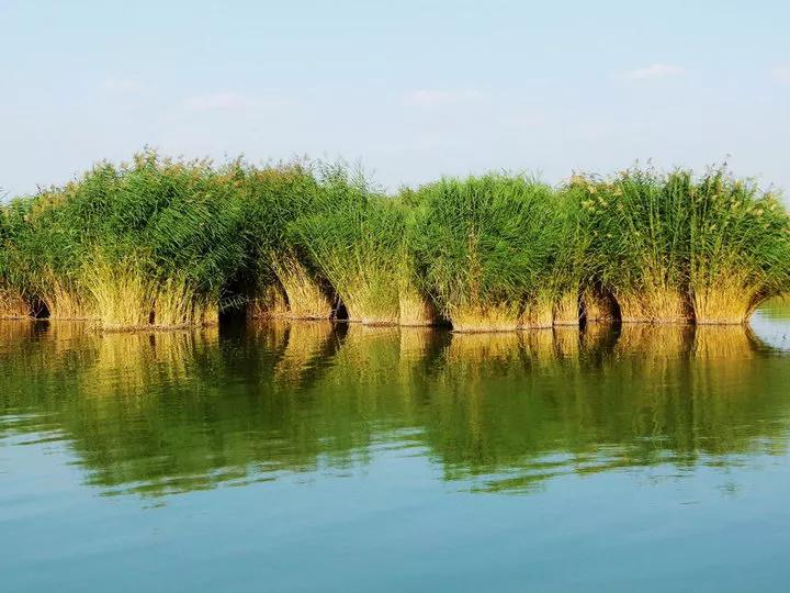 Top ten tourist attractions in Ningxia - iNEWS