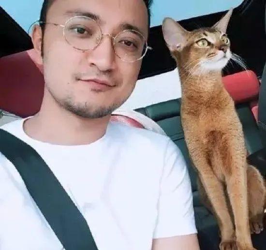 unexpected!There are so many "cat slaves" among the famous CCTV hosts ...
