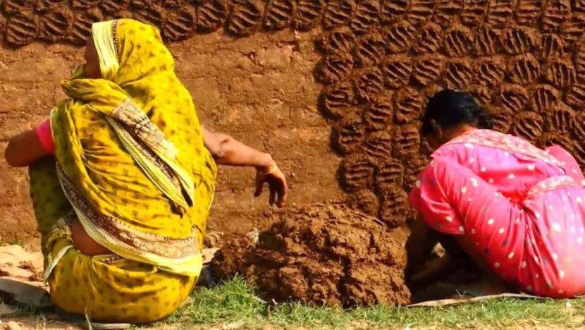 How wonderful is the magical Indian cow dung culture, cow dung GDP ...