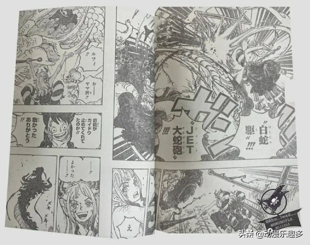 One Piece Chapter 1025 Comics: Figure of Double Dragons (Momonosuke and ...