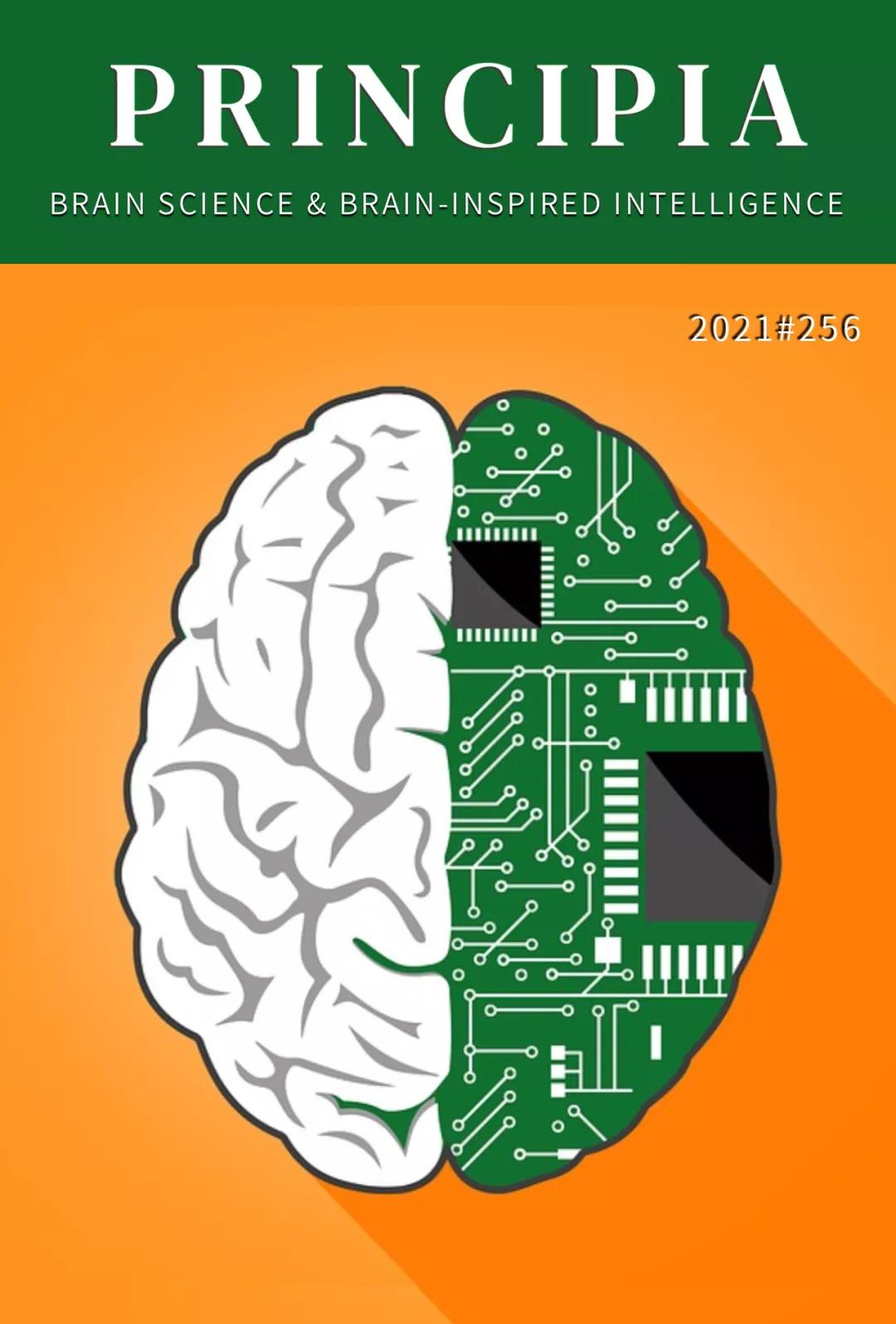 How does the smartest brain think about the brain? - iNEWS