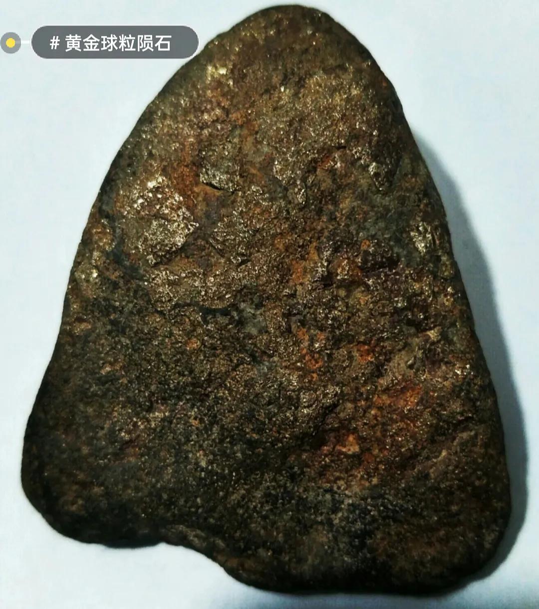 Rare in the world~Golden chondrite directional meteorites to enjoy ...