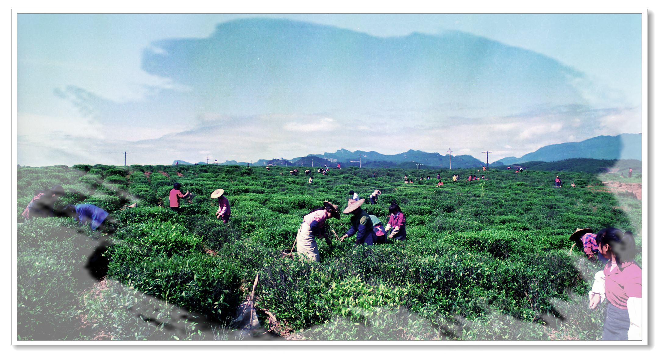 The light and shadow keep the truth-Wuyishan•Wuyi tea wonders the world ...