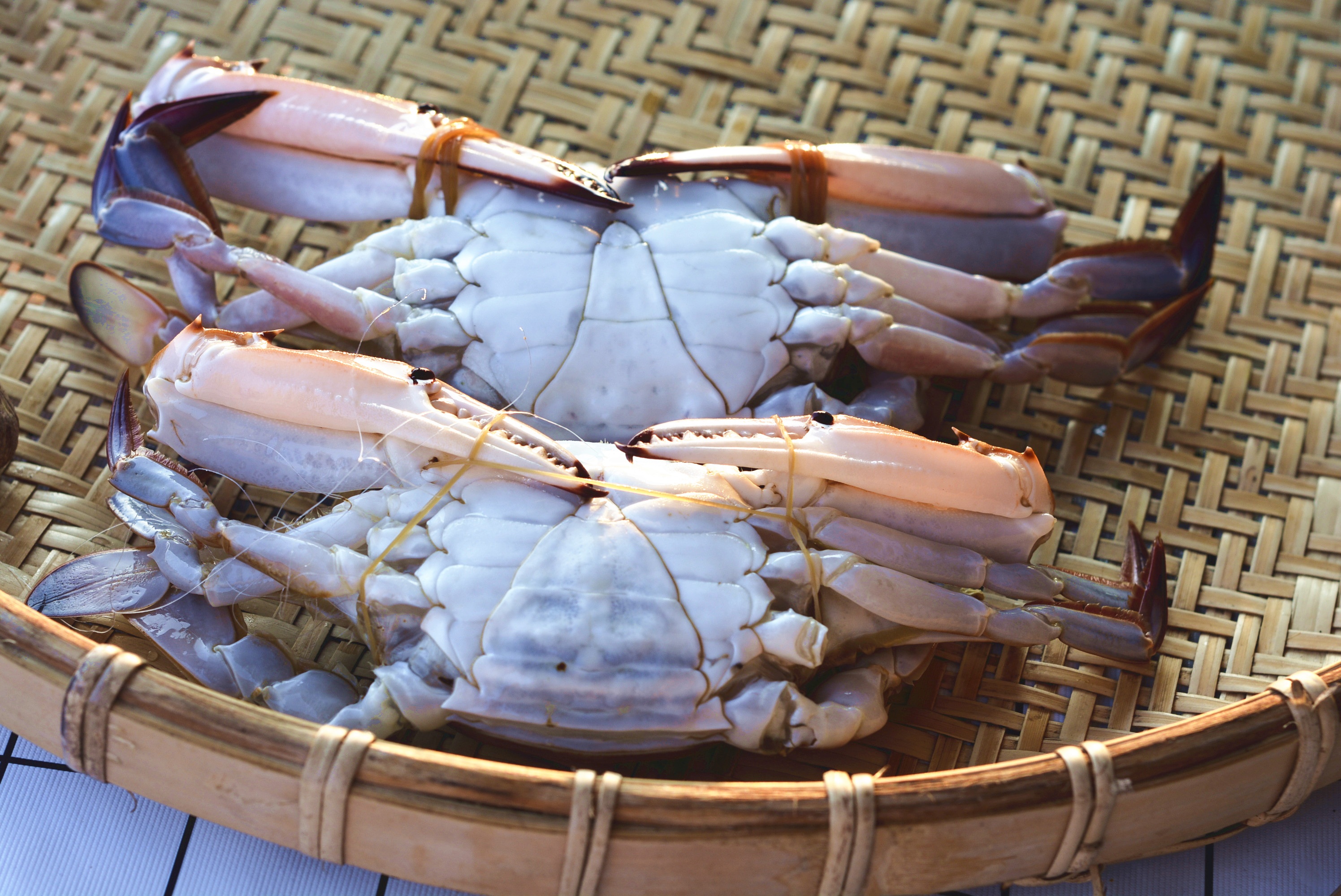How to choose swimming crabs??"Collection Cheats" - iNEWS
