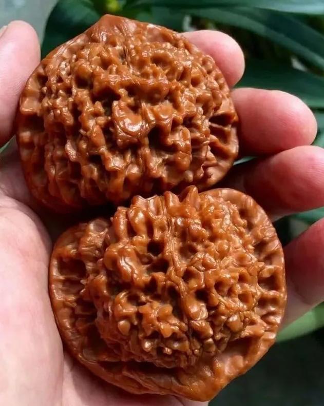 Is Jet Li's Dzi Beads really worth 100 million?If the master tells the ...