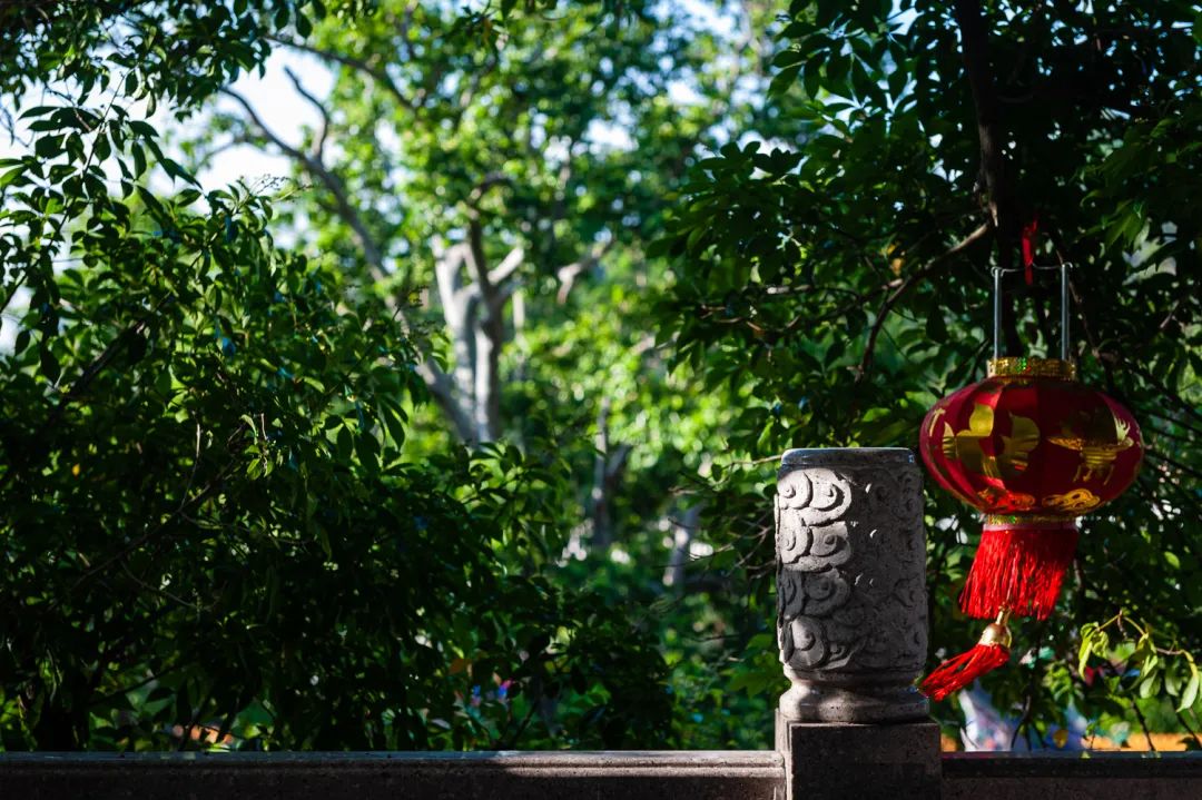 Impression of Shishi Temple in Xiamen: Qing Fang Jue Xia Shen - iNEWS